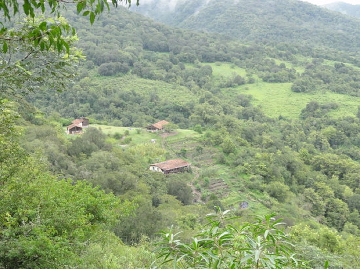 Las Yungas y sus lugares extraordinarios por recorrer – Seguime Jujuy