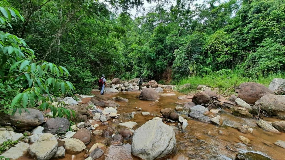 Vení a conocer el Parque Nacional Calilegua, en la temporada de otoño ...